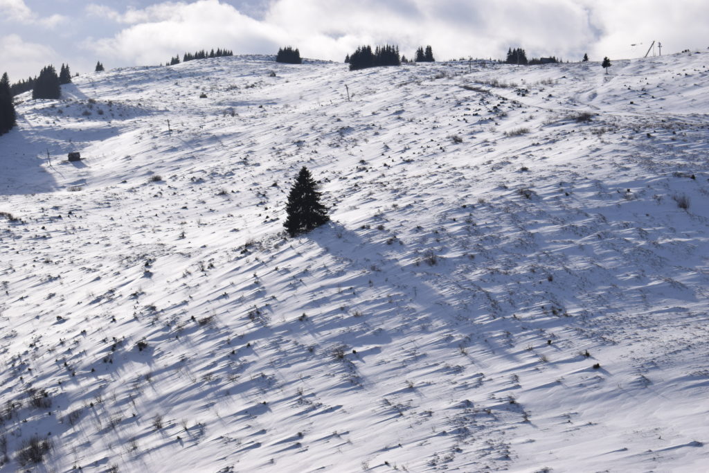 Snowshoeing in Slovakia: a perfect winter adventure - Svitforyou